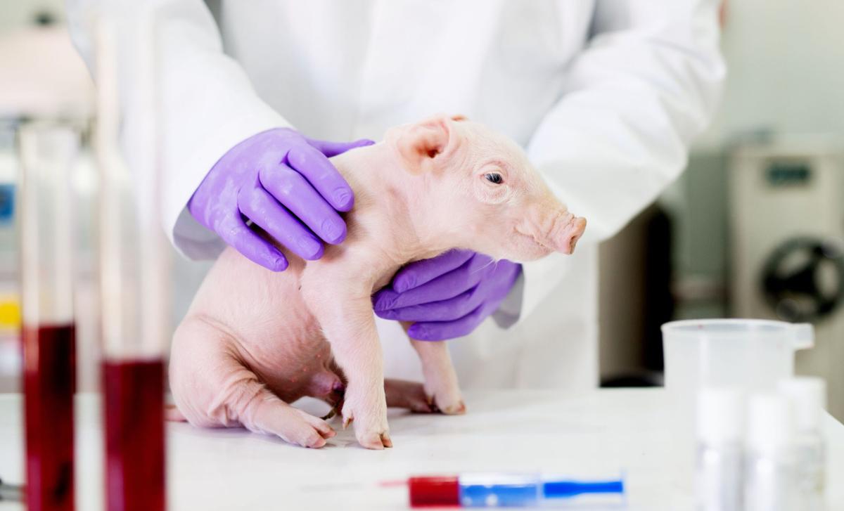 Proteinurija: Stanje koje može signalizirati ozbiljne probleme s ...